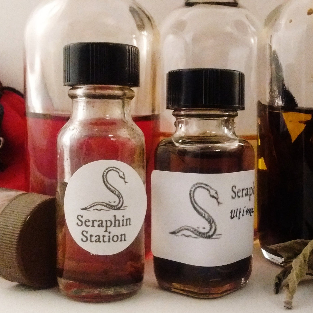 King Solomon Wisdom Oil – Seraphin Station
